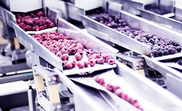 Maintenance system for food and beverage standards