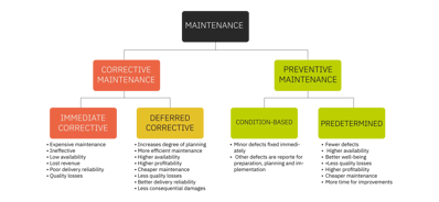 MaintMaster Maintenance Manual - Maintenance Standards